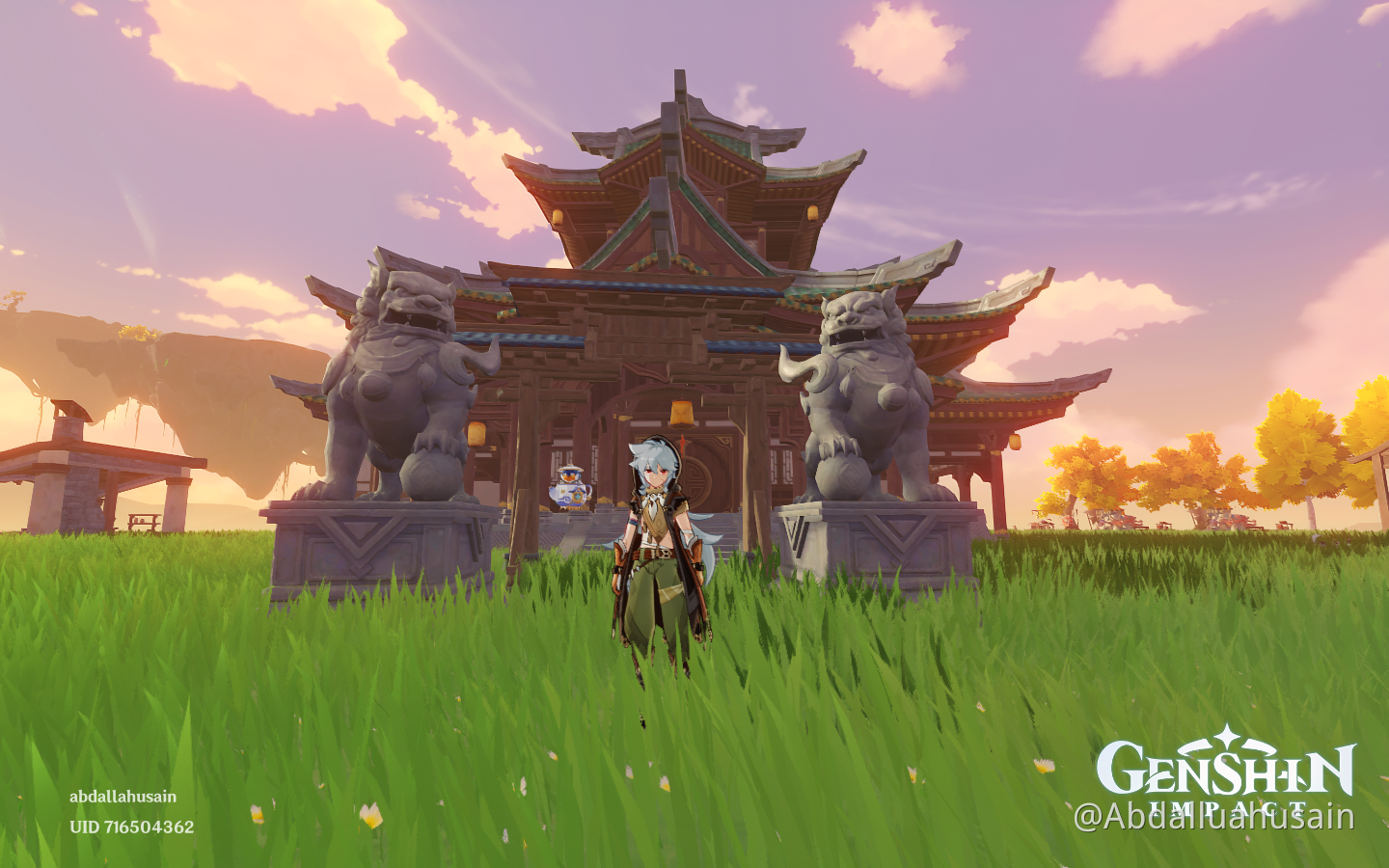 Introduction of my house Genshin Impact | HoYoLAB