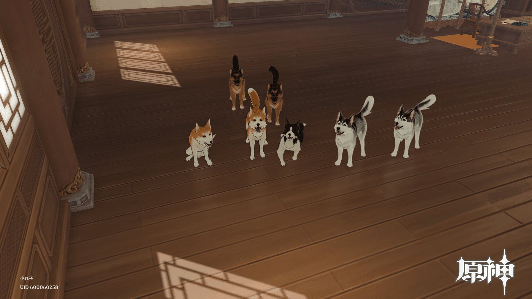 Behold! my doggo army!! Genshin Impact | HoYoLAB