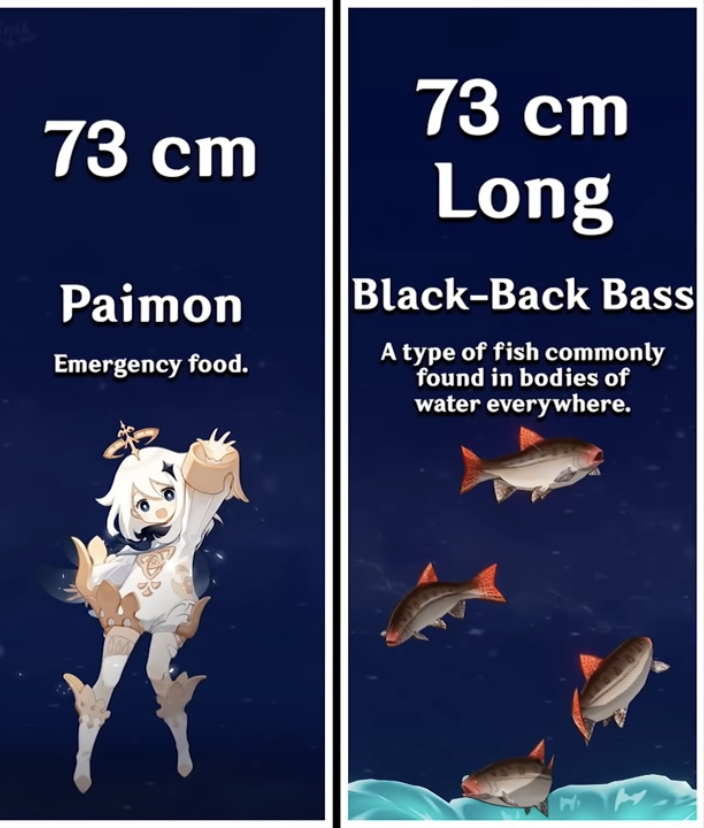 Paimon is Tall as a Fish Genshin Impact | HoYoLAB