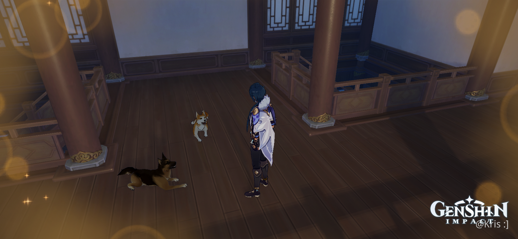 Let us interact with animals!! Genshin Impact | HoYoLAB