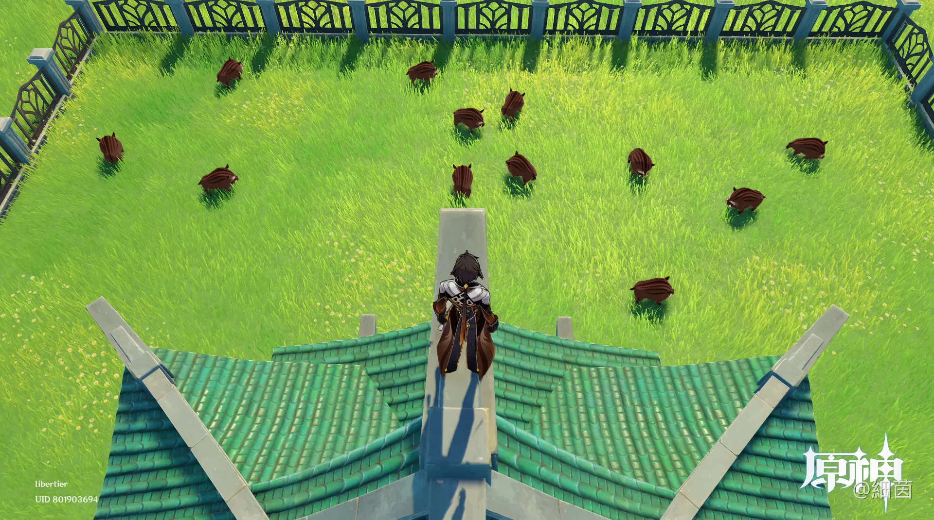 My pig Genshin Impact | HoYoLAB