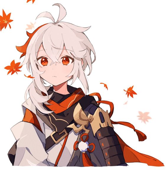 The Maple Samurai Genshin Impact | HoYoLAB
