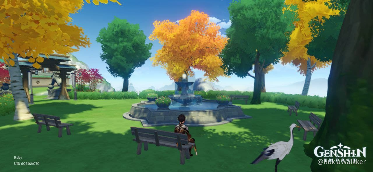 Meu Bule Genshin Impact | HoYoLAB