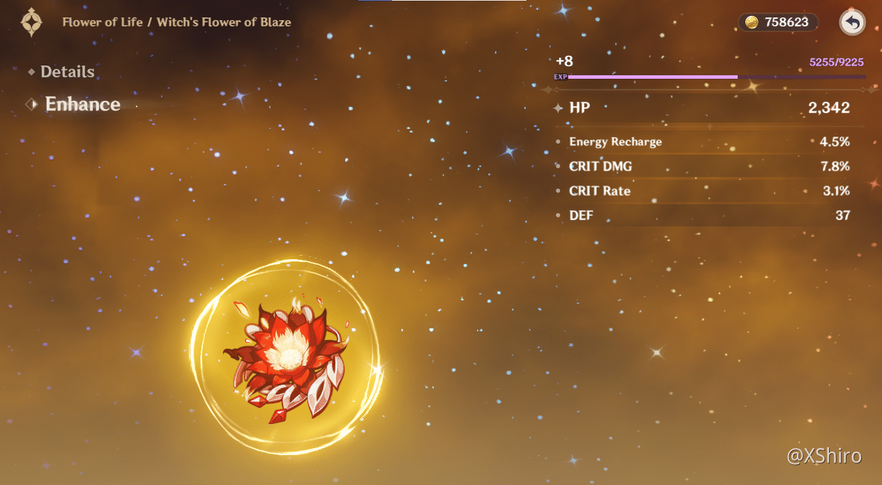 Flower of Life, (Witch of flames) potential artifact ruined ...