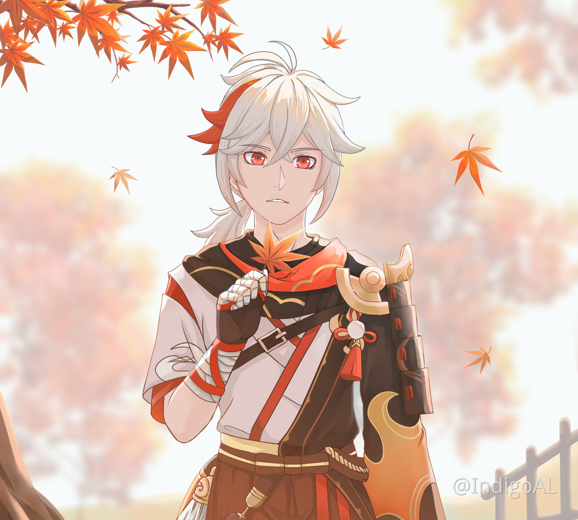 maple boy Genshin Impact | HoYoLAB