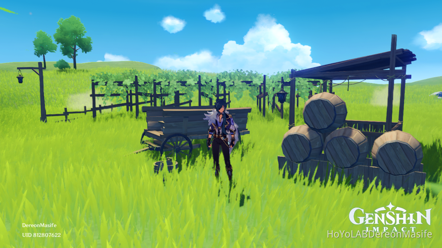 Monstad Landscape Design by DereonMasife for | Genshin Impact | HoYoLAB