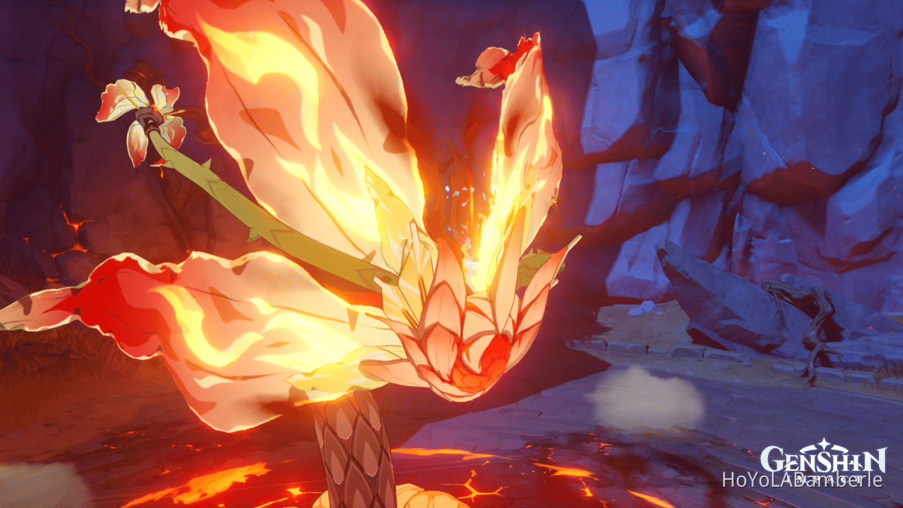 The Mystery of the Pyro Plants Genshin Impact | HoYoLAB
