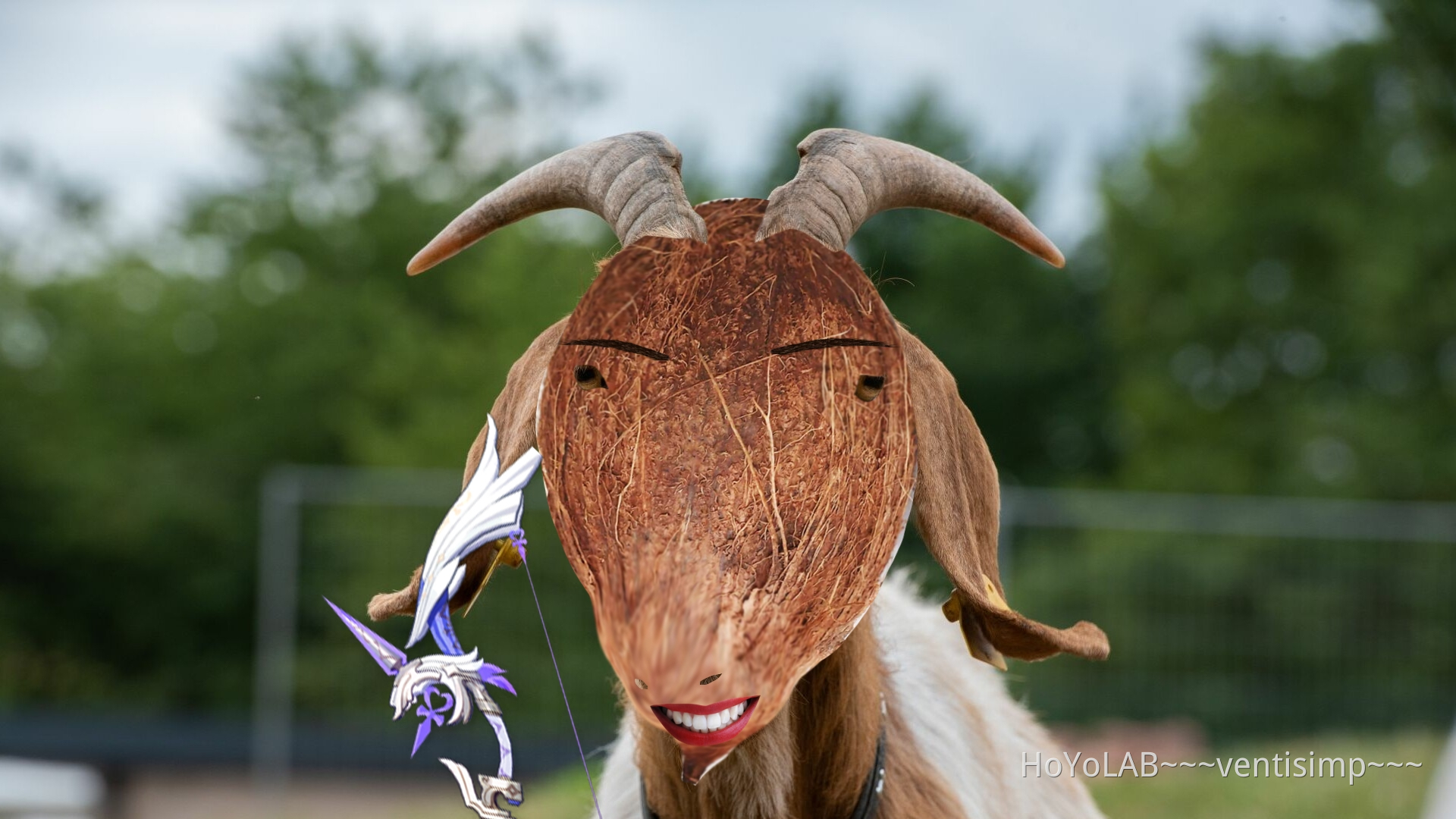 look its cocogoat Genshin Impact | HoYoLAB