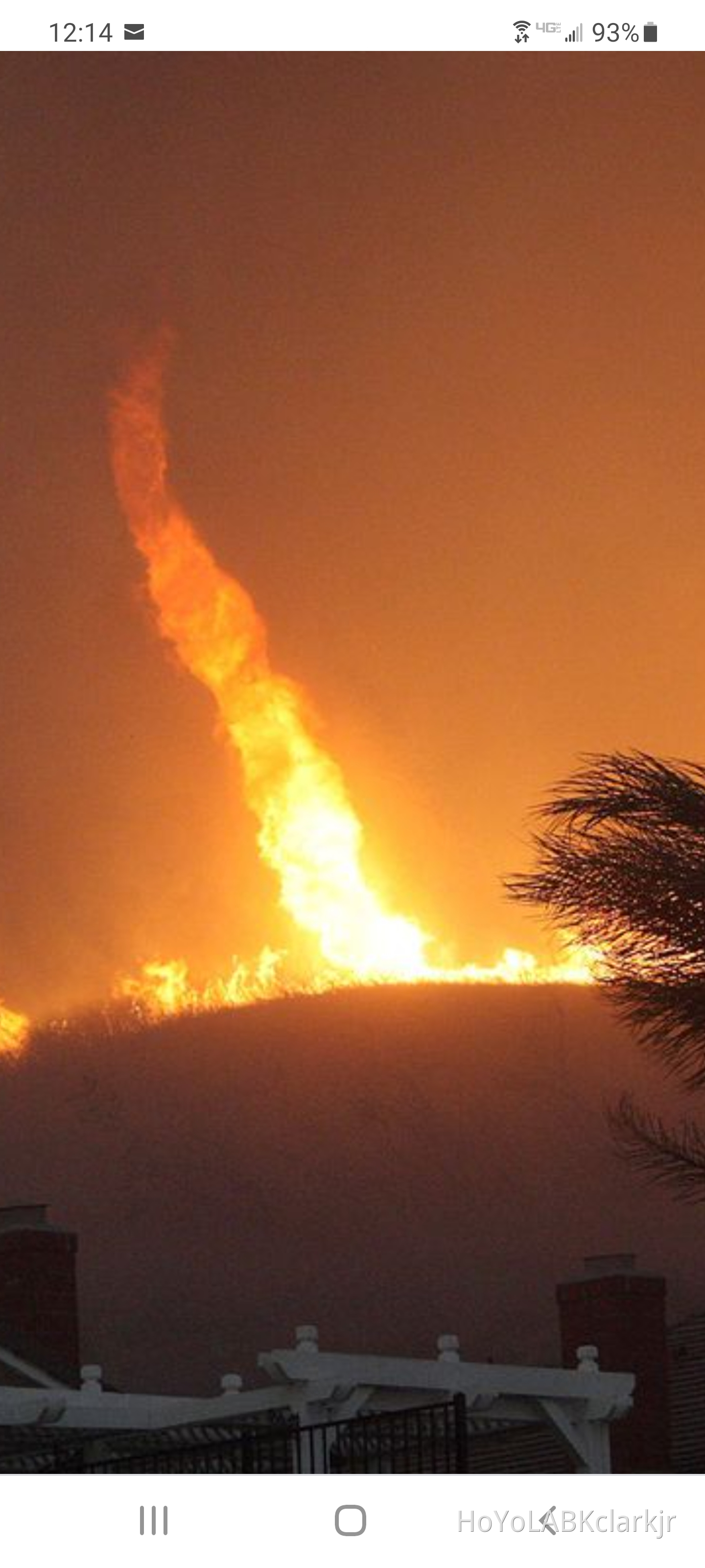 Real life pyronado Genshin Impact | HoYoLAB