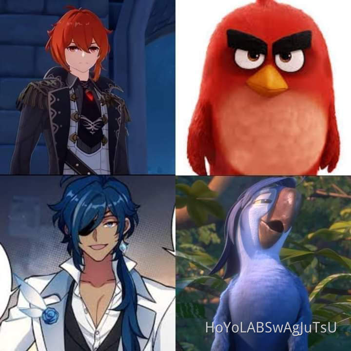 BIRD Genshin Impact | HoYoLAB