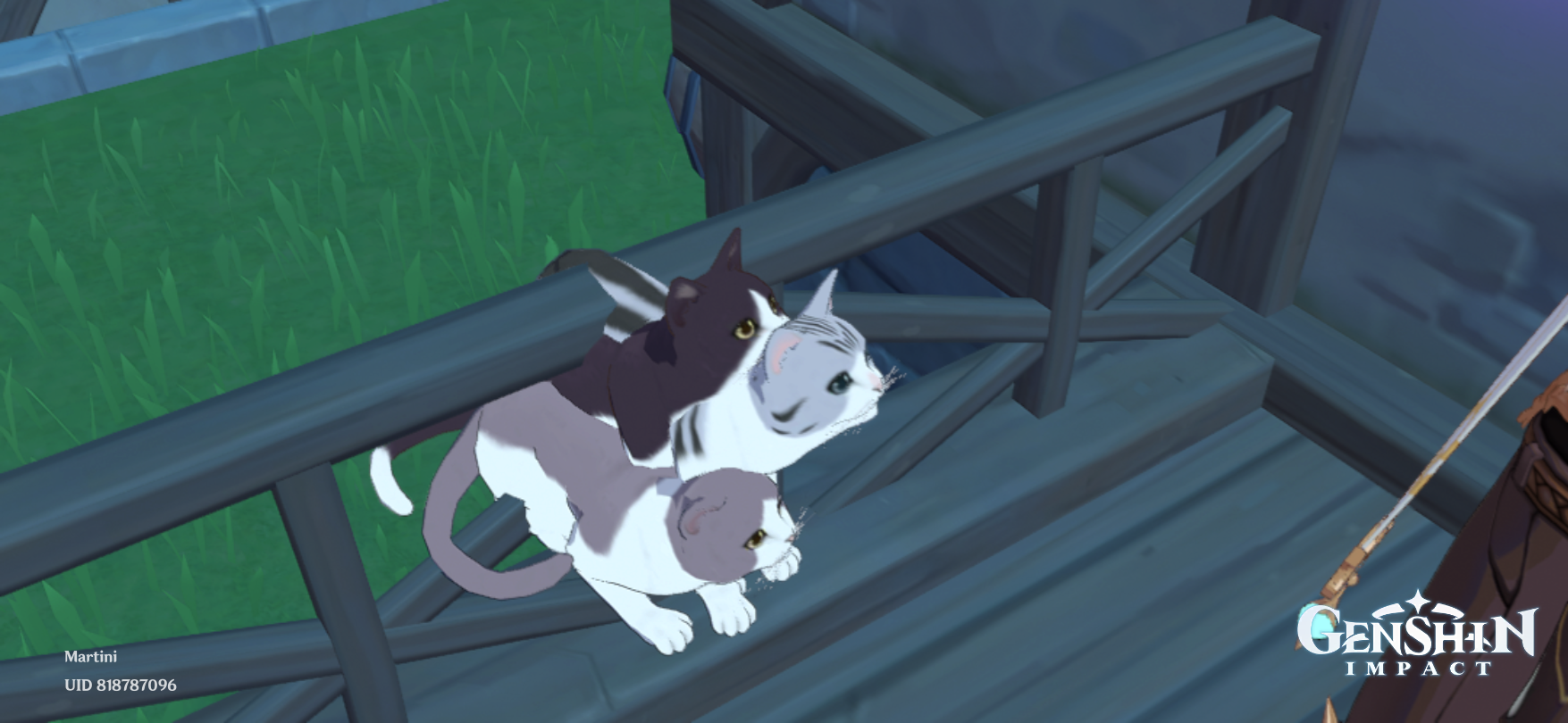 Haishan. Genshin Impact | HoYoLAB