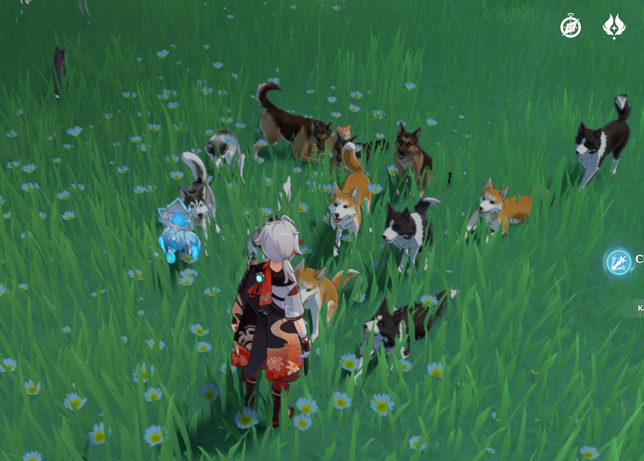 So many dogs here Genshin Impact | HoYoLAB