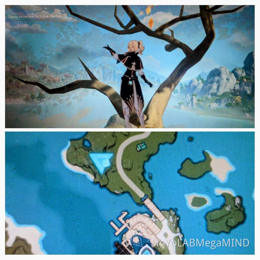 GEOCULUS LOCATION at Dihua Marsh (EASY ONE) Genshin Impact | HoYoLAB