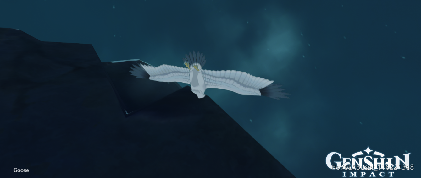 2.0 too long to wait! This bird just couldn't take the excitement any ...