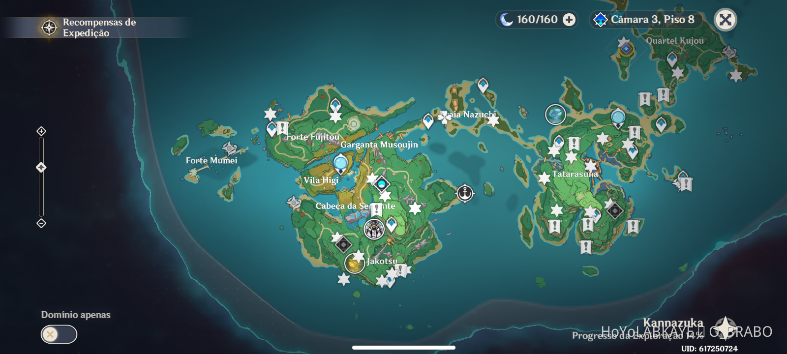 INAZUMA: DESAFIOS, ELETROCULUS, SANTUÁRIO E FLORES Genshin Impact | HoYoLAB