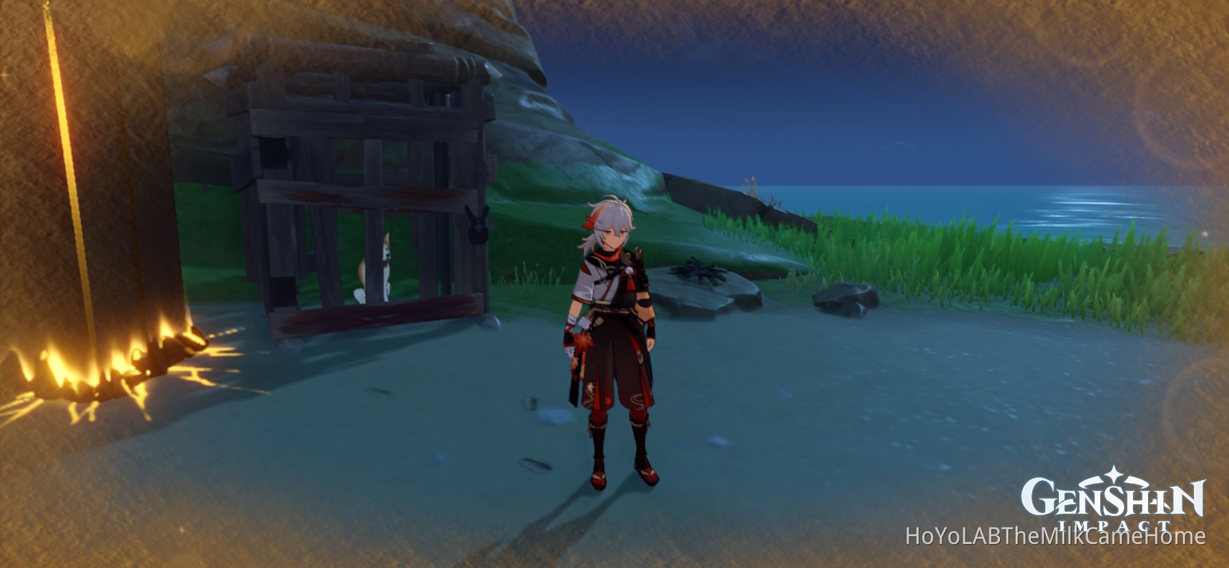 Saving an Inazuma Dog! Genshin Impact | HoYoLAB