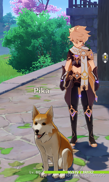 Pika Genshin Impact | HoYoLAB