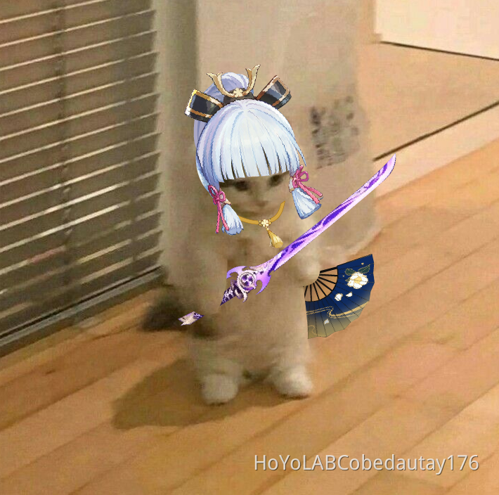 Ayaka Cat Avatar Genshin Impact | HoYoLAB