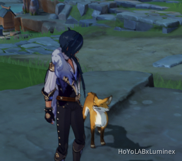 Pet Kitsune Genshin Impact | HoYoLAB