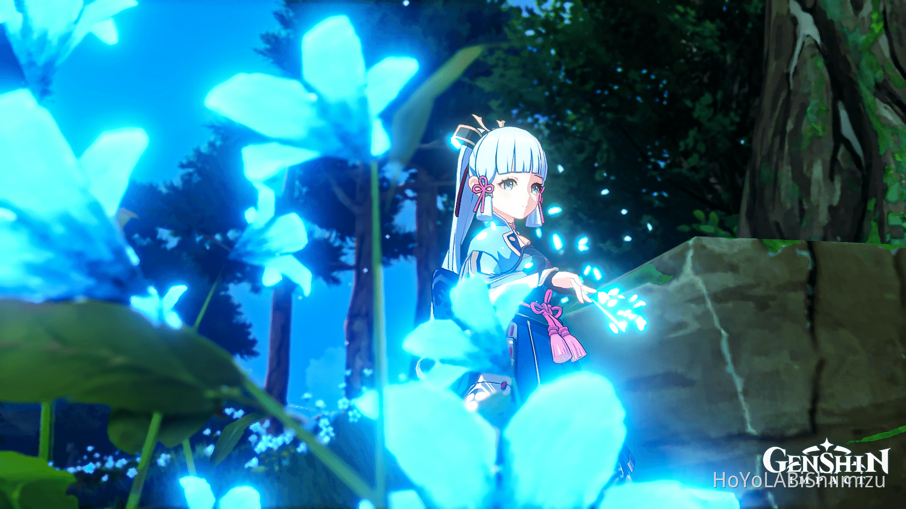 A bit of photography Inazuma Edition :) Genshin Impact | HoYoLAB