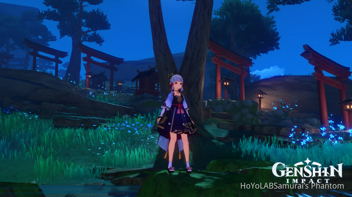 Some game photography! Inazuma edition!! Genshin Impact | HoYoLAB