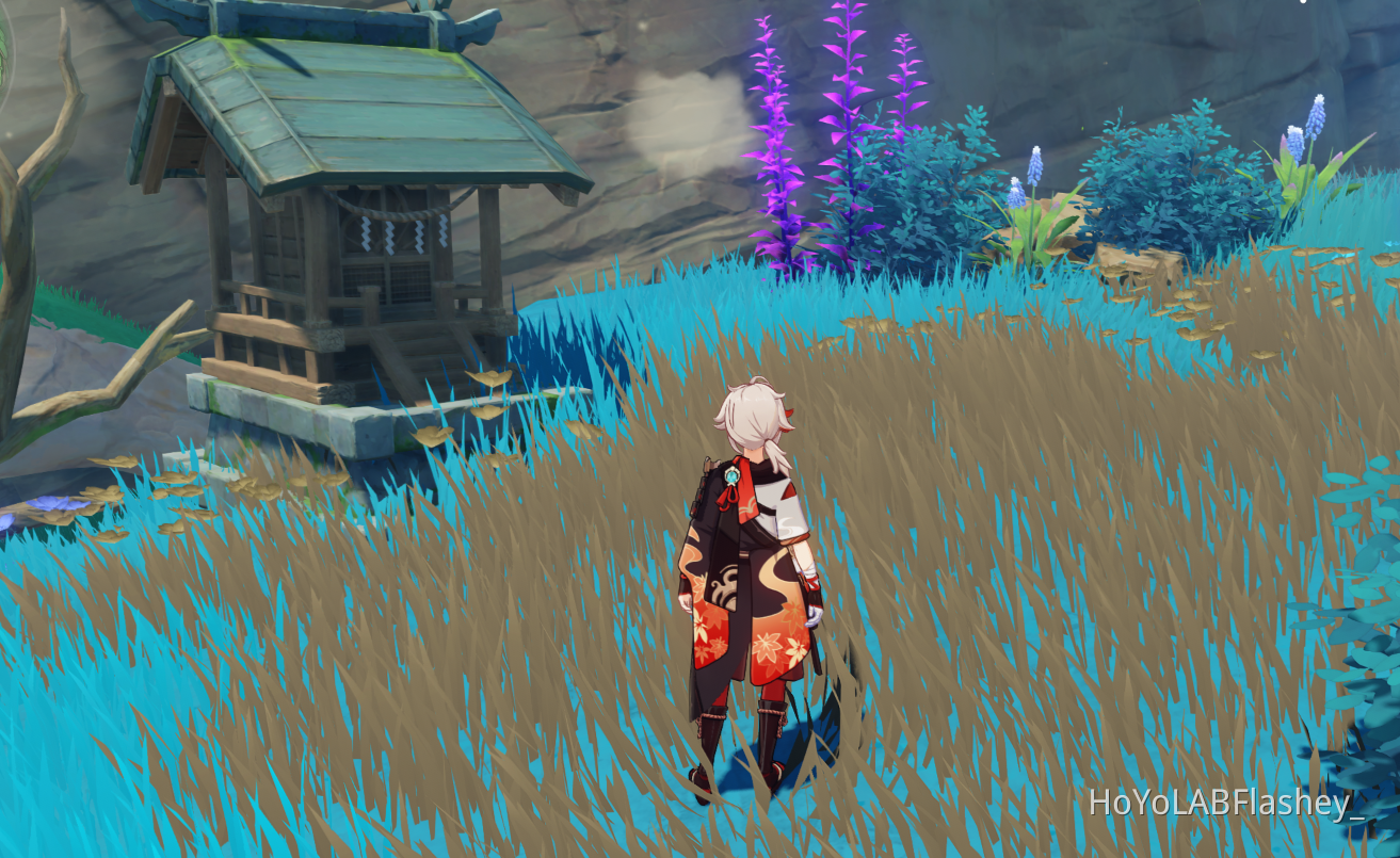 Daily chest update Genshin Impact | HoYoLAB