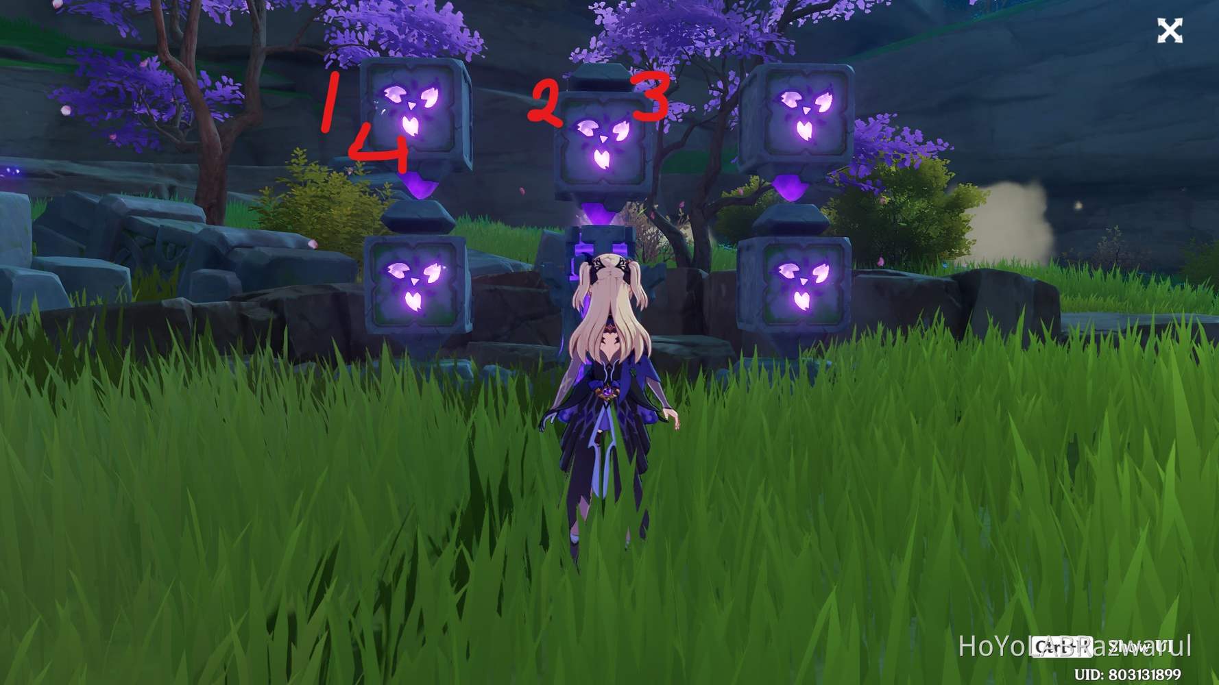 Cube Puzzle on Araumi (Inazuma) (there are 3) Genshin Impact | HoYoLAB