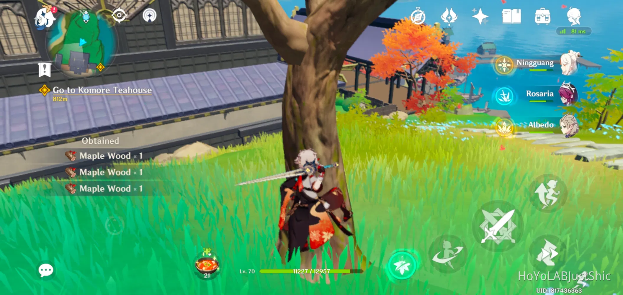 [Version 2.0] Trees and Woods in Inazuma Guide Feat. Kazuha Genshin ...