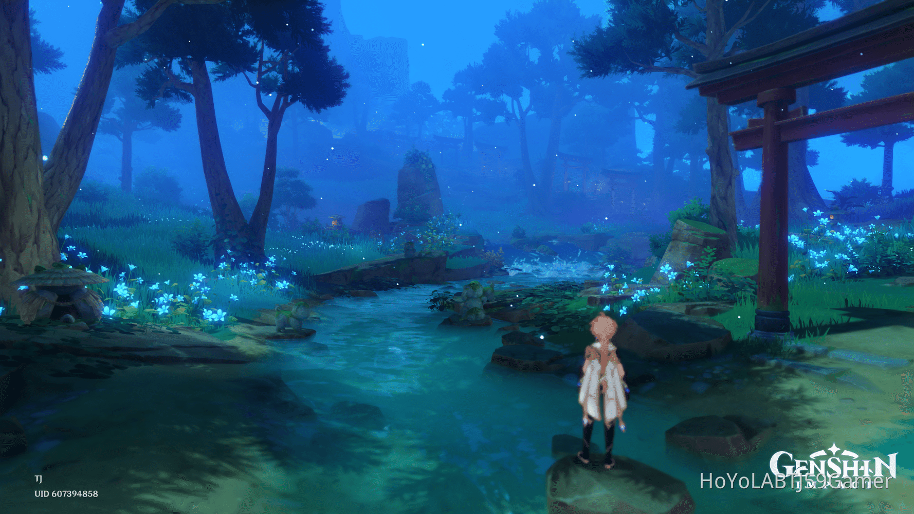 Chinju Forest Genshin Impact | HoYoLAB