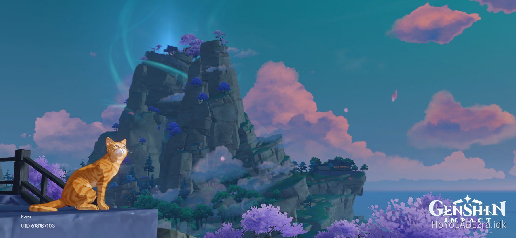 Cats of Inazuma + Bonus Dog Genshin Impact | HoYoLAB