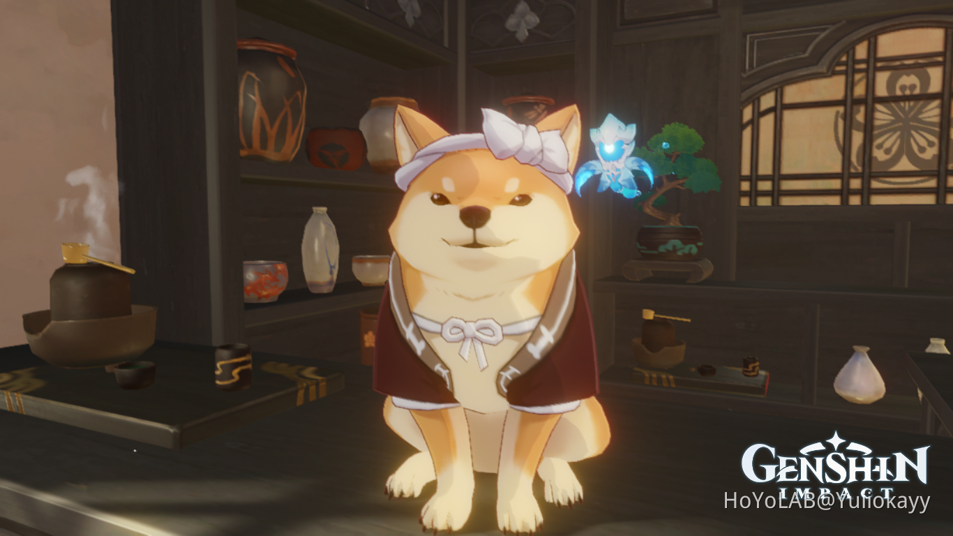 this dog is everything Genshin Impact | HoYoLAB