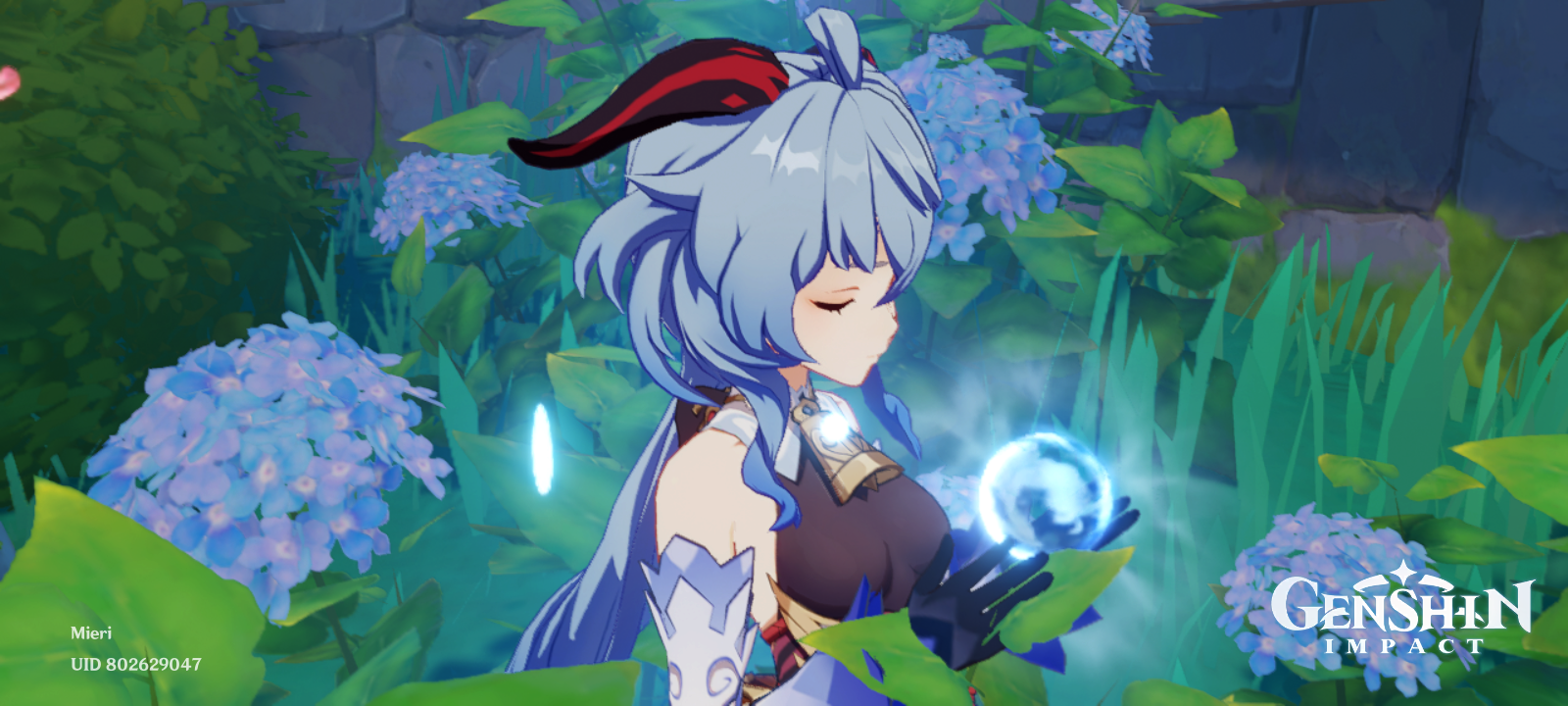 Hydrangea Genshin Impact | HoYoLAB