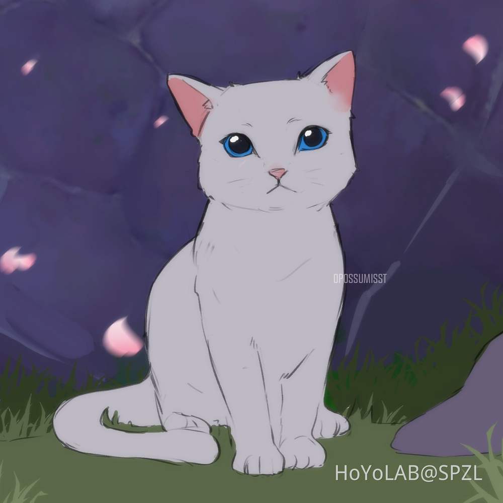 Kazuha's friend cat location Genshin Impact | HoYoLAB