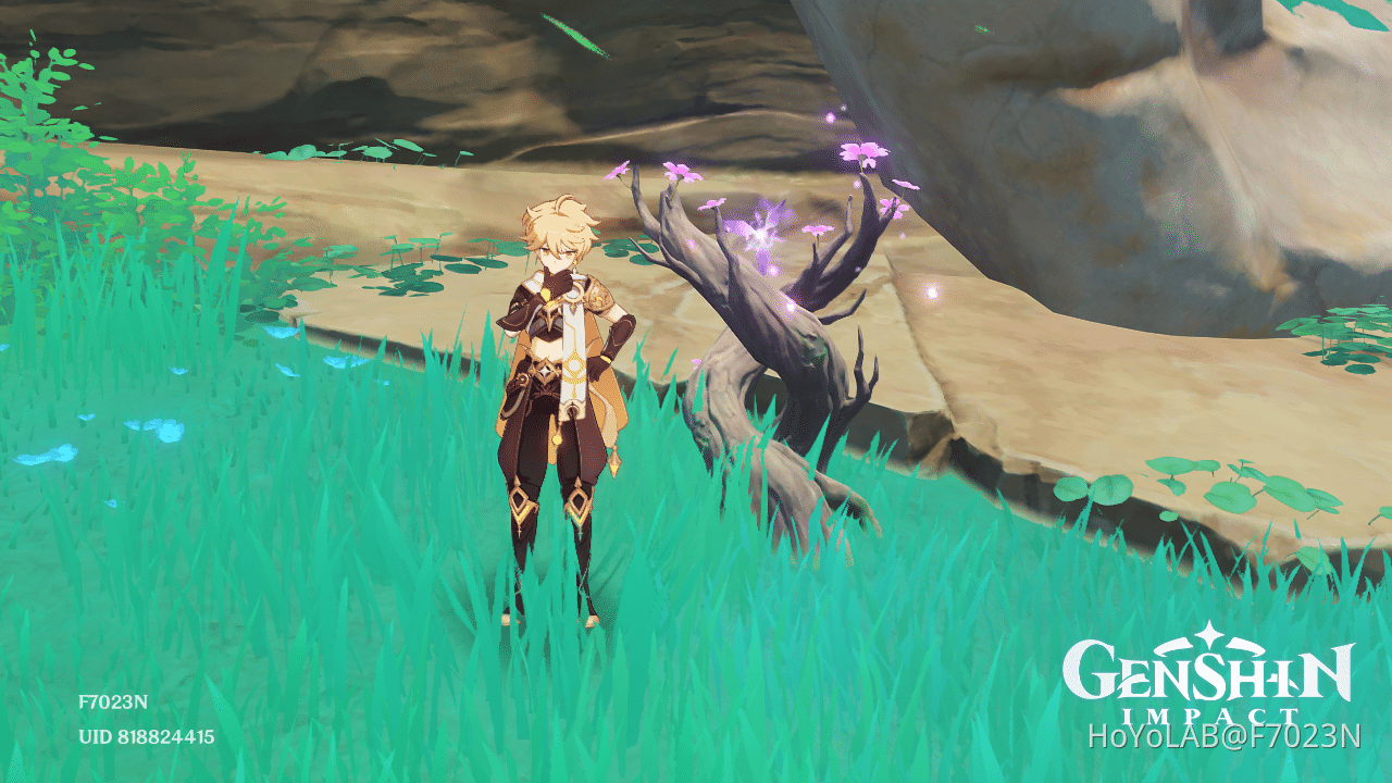 [Sword Puzzle] : Near Musoujin Gorge , Completed ! Genshin Impact | HoYoLAB