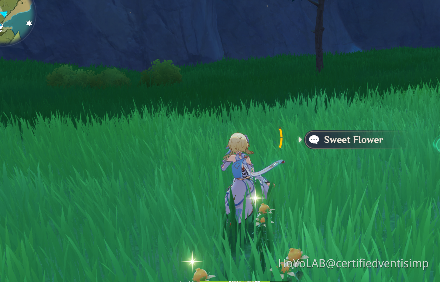 You can actually tell which flowers have whopper flowers in them ...