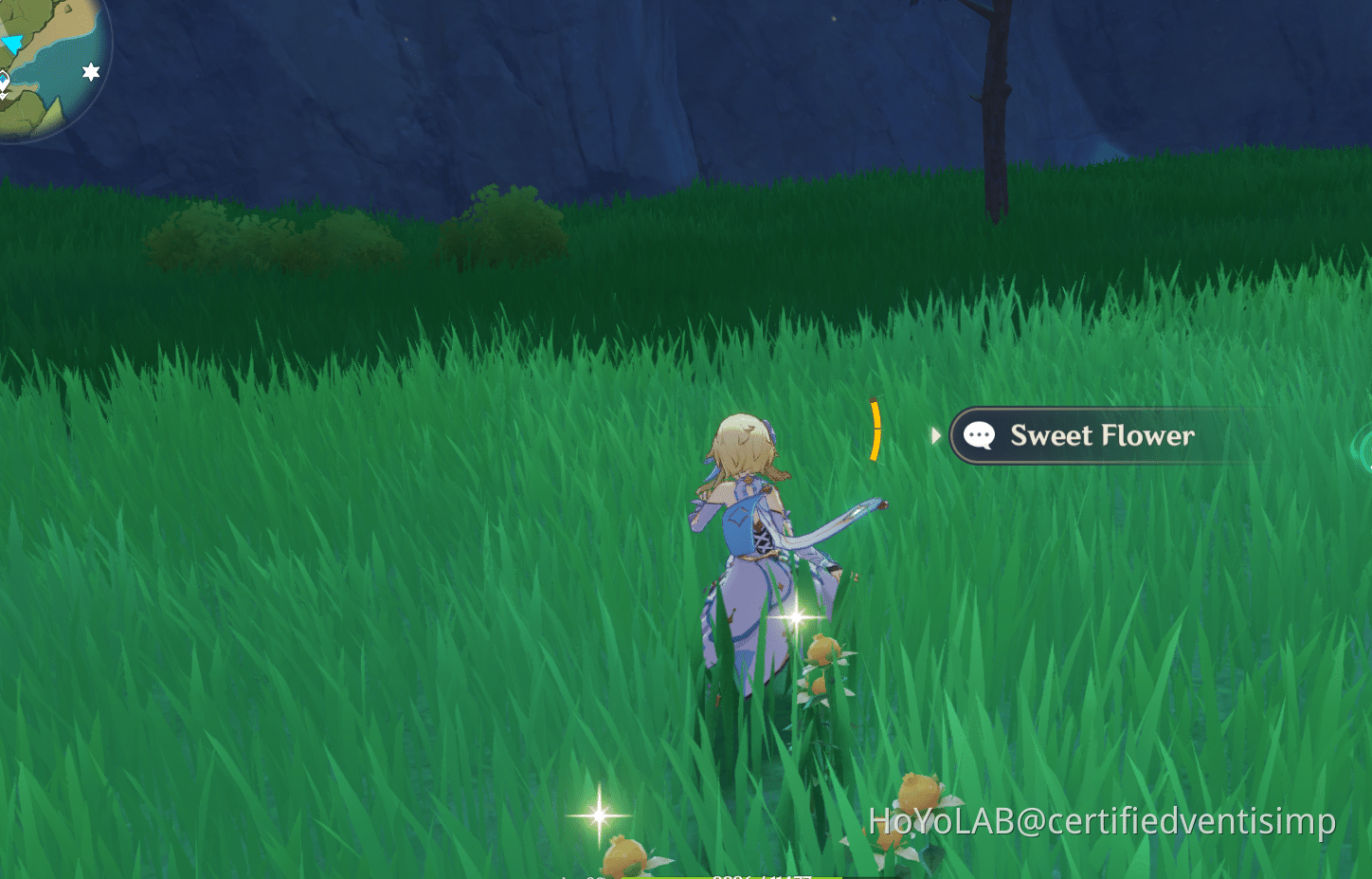 You can actually tell which flowers have whopper flowers in them ...