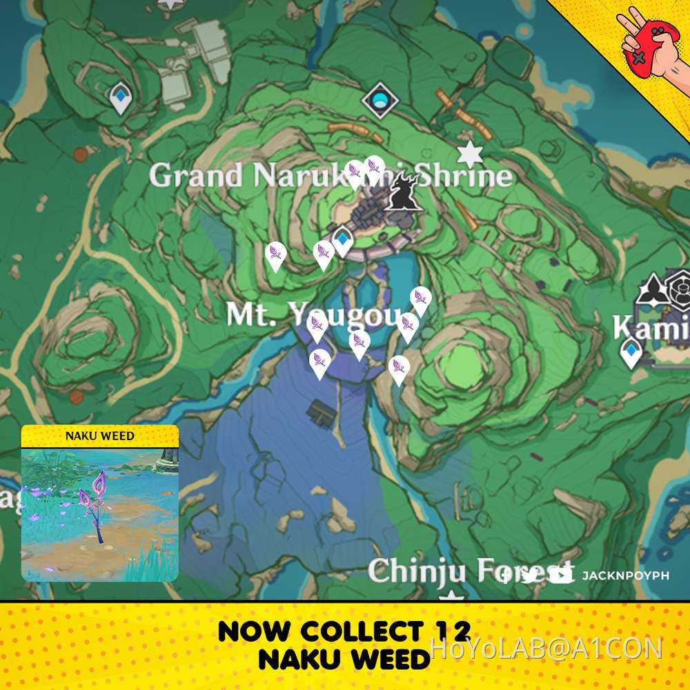 Naku Weed Farm Locations and Luxurious Chest Genshin Impact | HoYoLAB