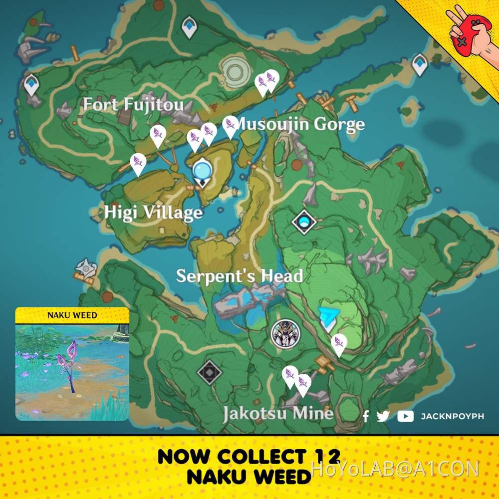 Naku Weed Farm Locations and Luxurious Chest Genshin Impact | HoYoLAB