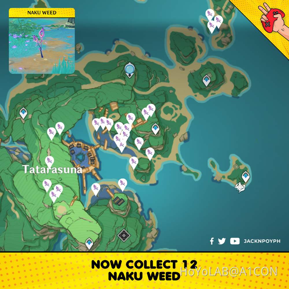 Naku Weed Farm Locations and Luxurious Chest Genshin Impact | HoYoLAB