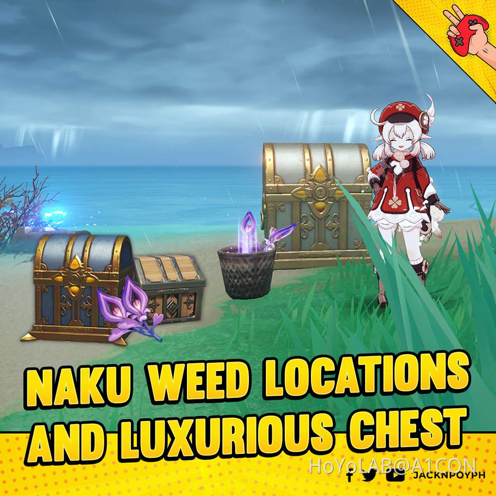Naku Weed Farm Locations and Luxurious Chest Genshin Impact | HoYoLAB