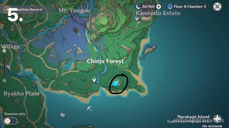 All Inazuma Shrine of Depth Locations Genshin Impact | HoYoLAB