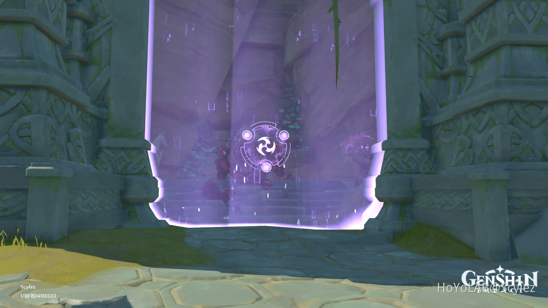 Surviving in Inazuma Guides;Electroculus You Might Have Missed ...