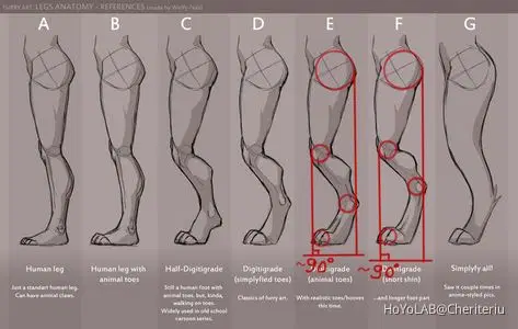 goat legs drawing reference