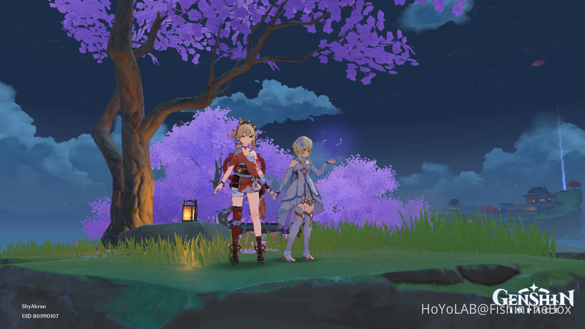 Couldn't capture the firework scenes with Yoi-chan, it was really ...