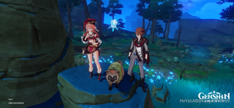 Stoned tanuki Genshin Impact | HoYoLAB