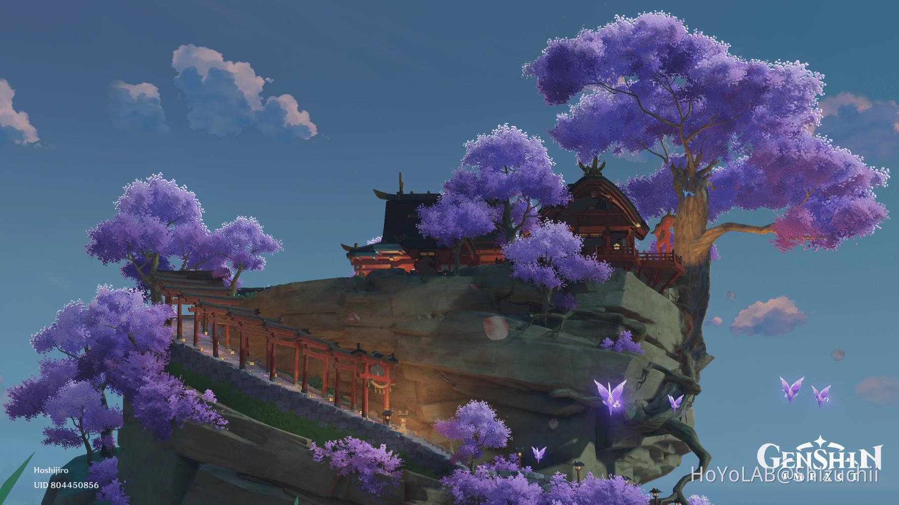 Mt. Yougou, Sakura Tree & The Narugami Shrine in and throughout the day ...