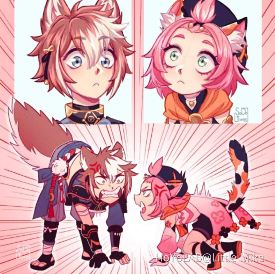 Gorou vs Diona Genshin Impact | HoYoLAB