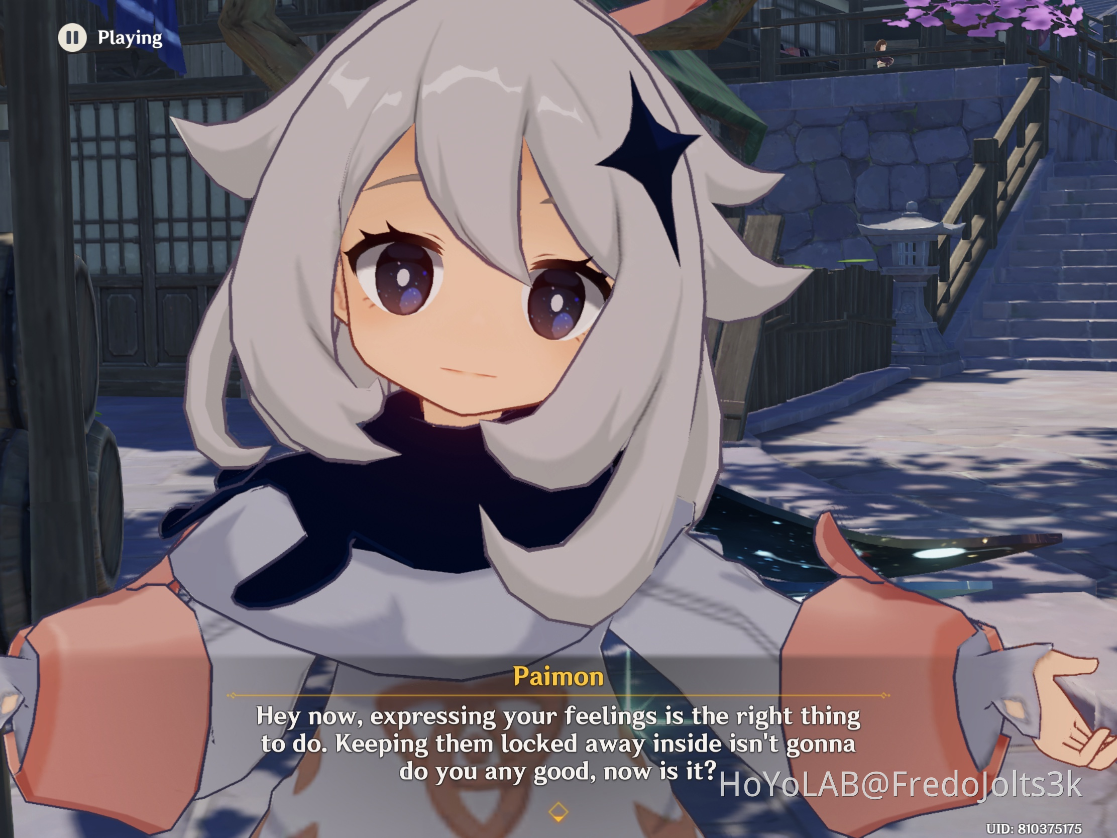 Paimon words of wisdom Genshin Impact | HoYoLAB