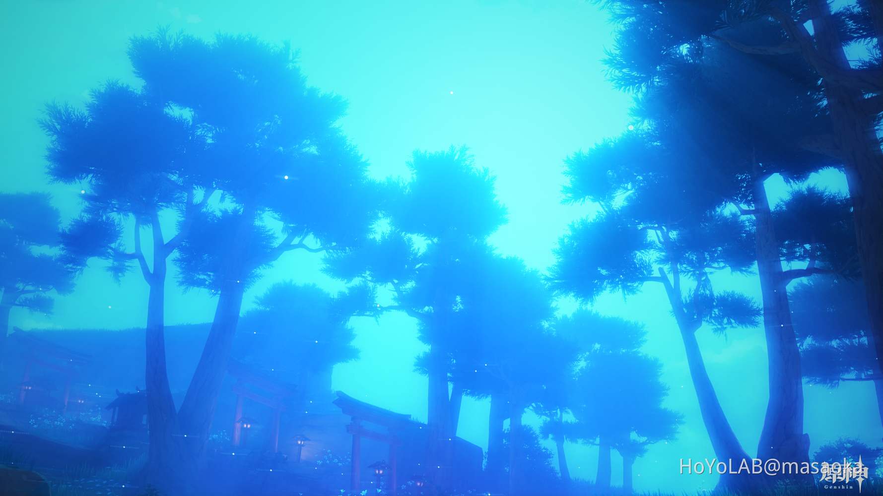 #145 Today's INAZUMA HOUROUKI -Chinju Forest- Genshin Impact | HoYoLAB