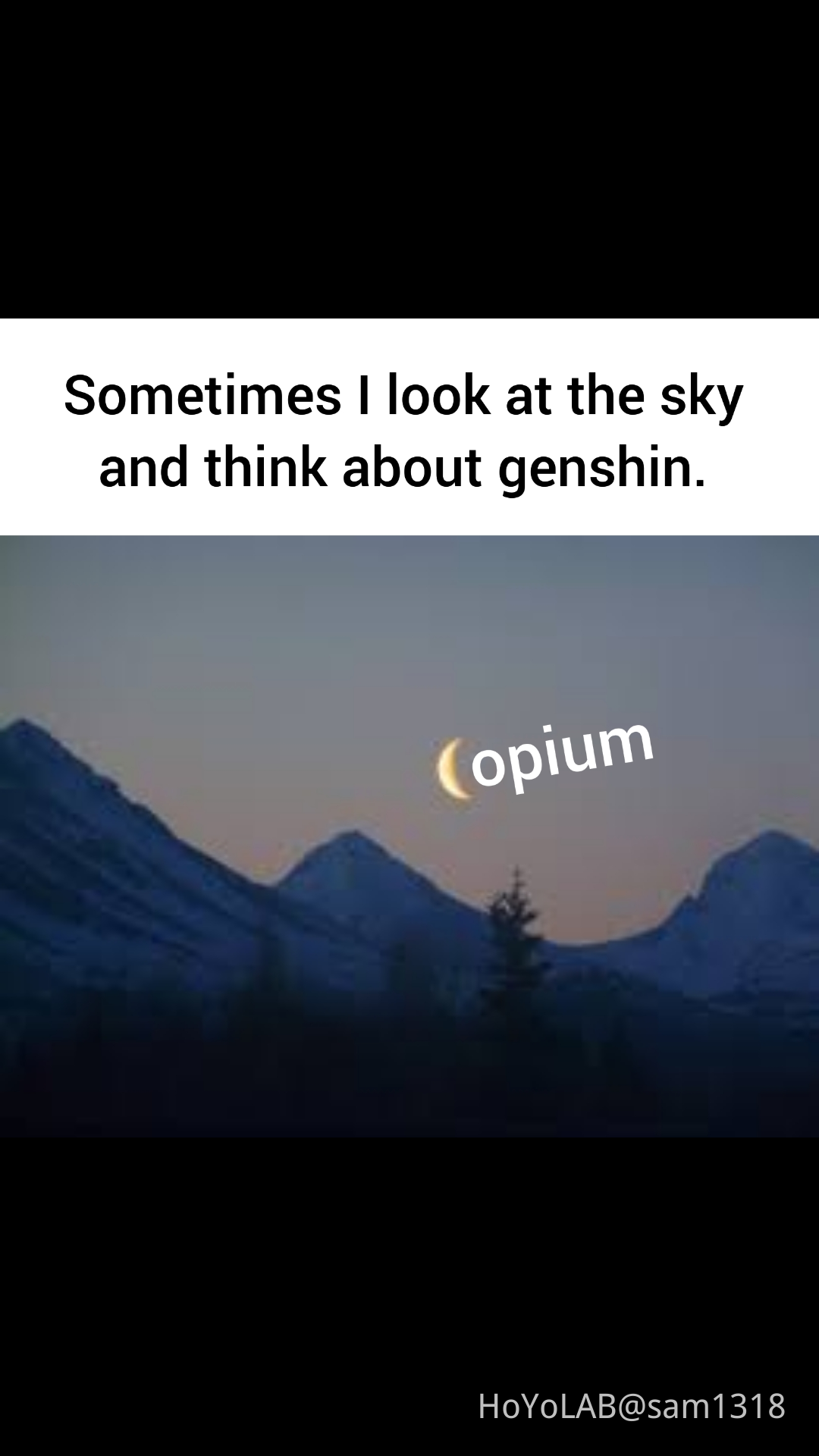 Copium overdose Genshin Impact | HoYoLAB